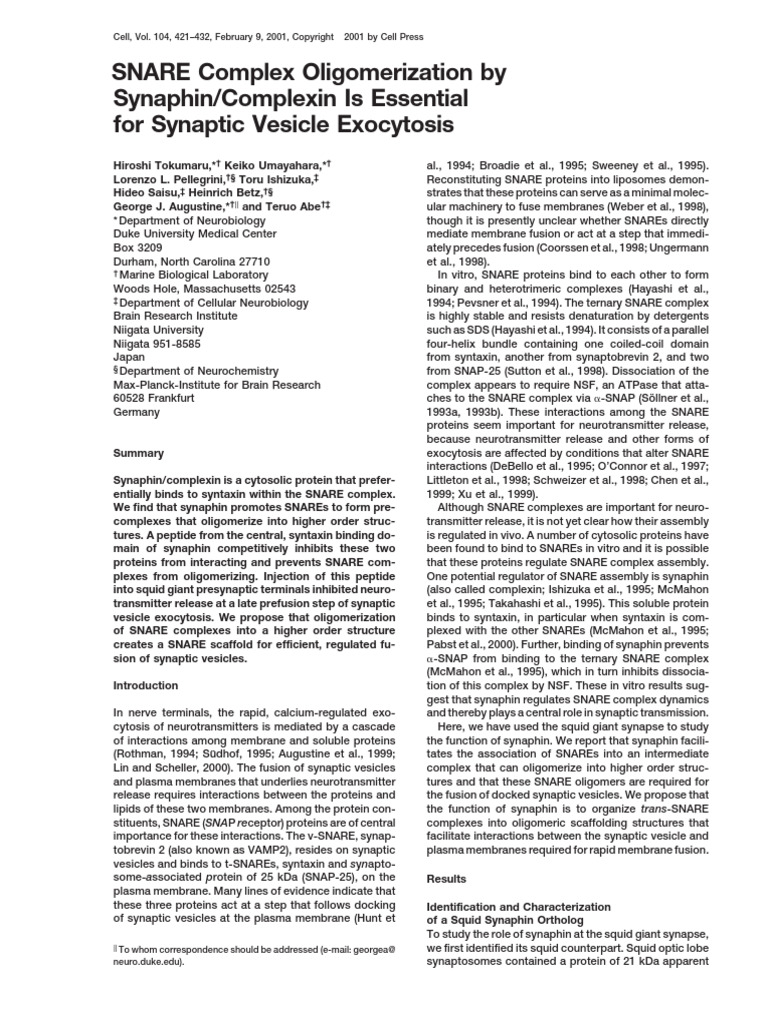 SNARE Complex Oligomerization by Synaphin Complexi | PDF | Chemical ...