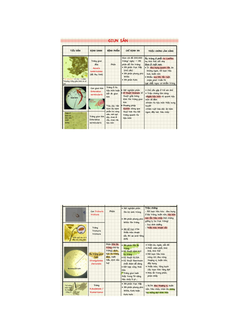 TH C Hành KST | PDF