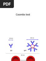 5 - Ahg Test | PDF | Clinical Pathology | Hematology