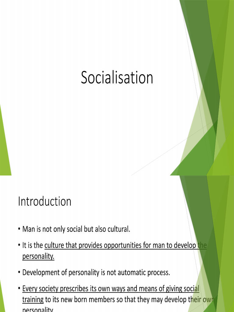 Socialization | PDF