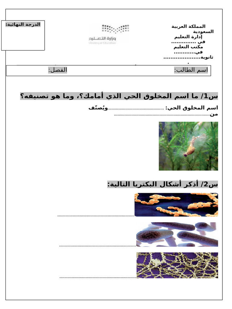 N2ahg Ah1 1ms 1444 | PDF