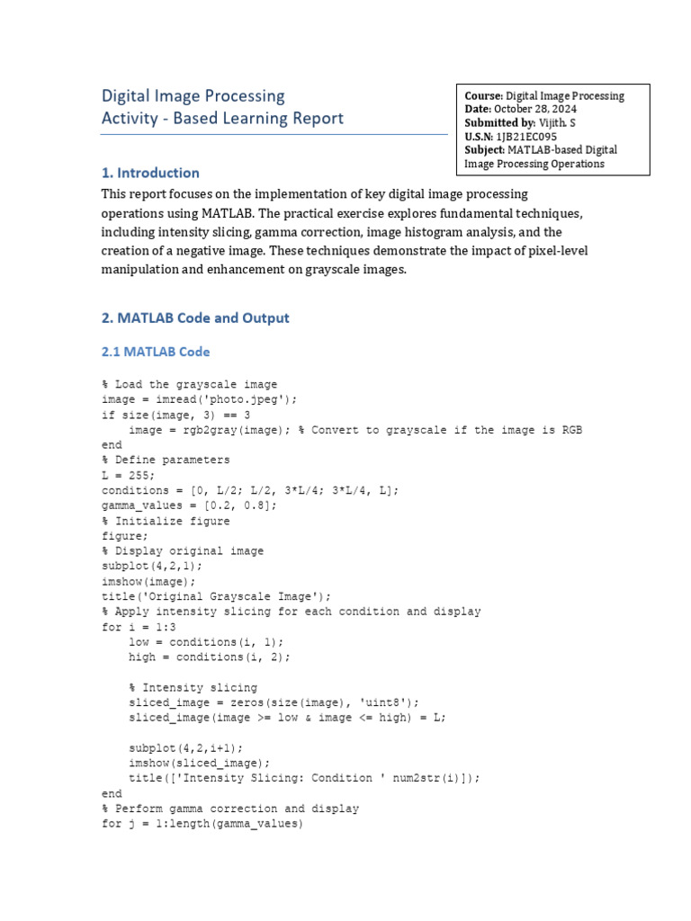 dip_report_pranav | PDF