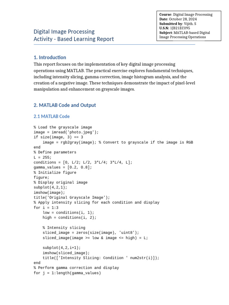 DIP Report With Code | PDF