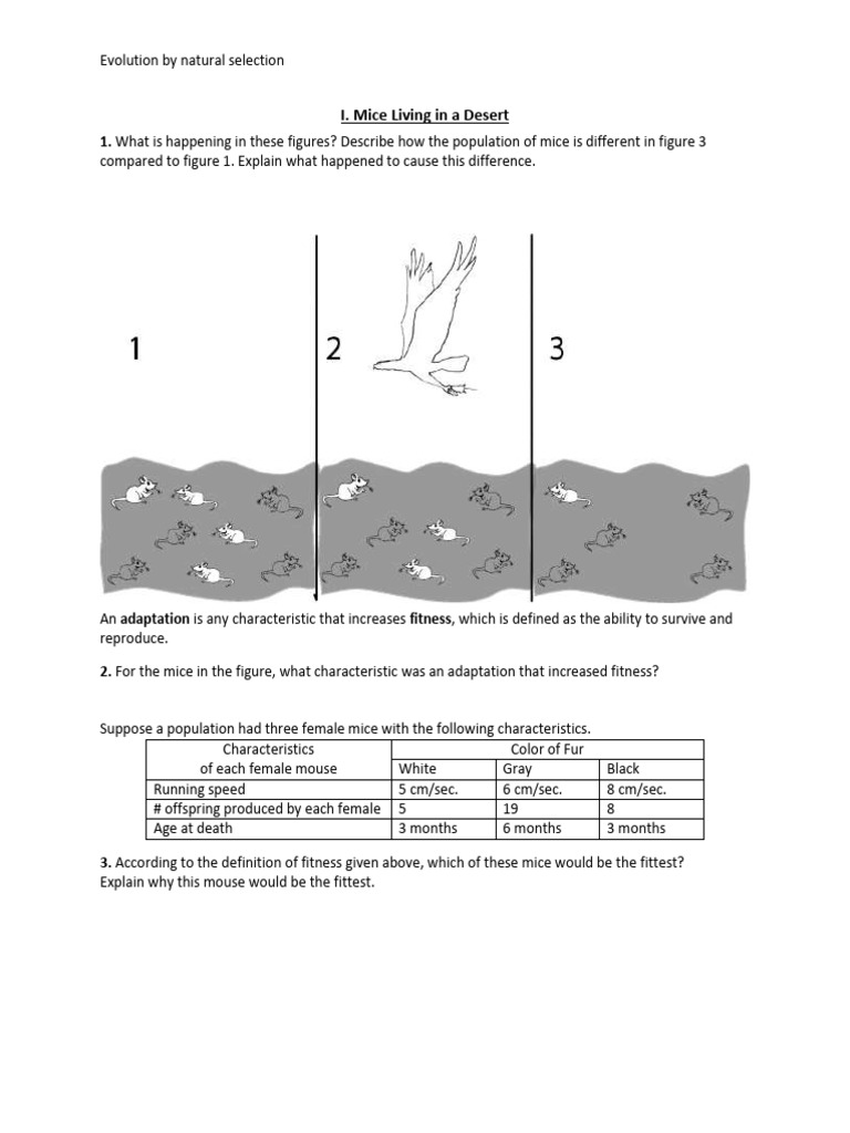 7.2natural Selection Worksheetmultiplequestions | PDF | Natural ...