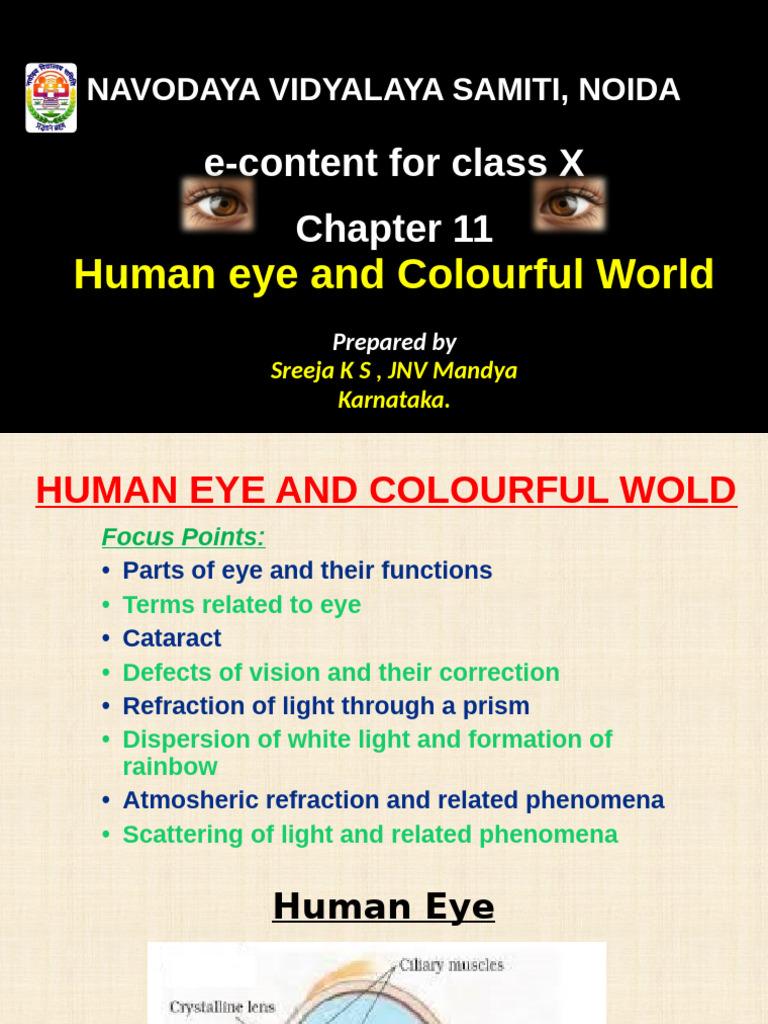 Chapter 11 Human Eye and Colourful World | PDF | Eye | Human Eye