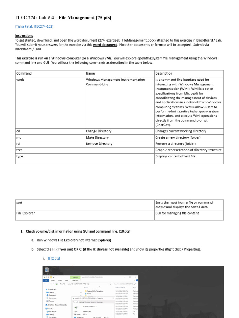 ITEC 274 - Lab 4 FileManagement | PDF | Directory (Computing) | Computer File