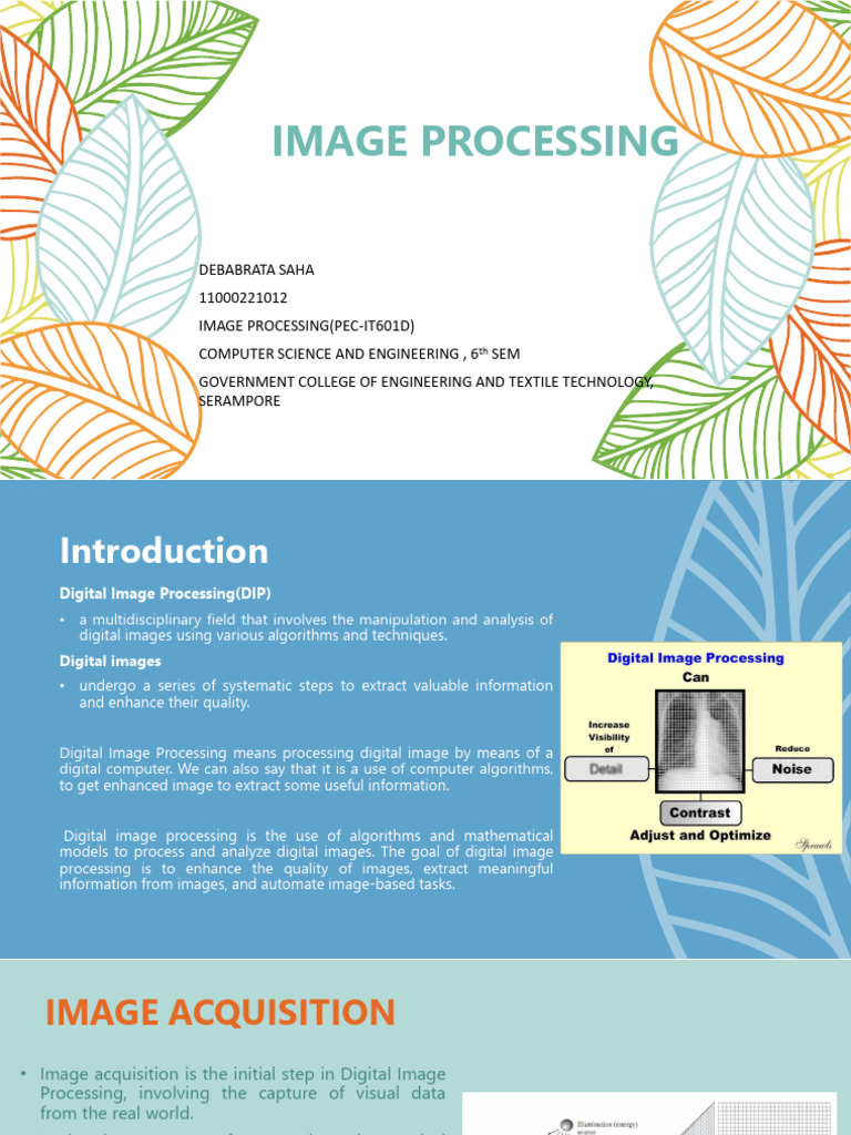Debabrata Saha Ip | PDF | Data Compression | Image Segmentation