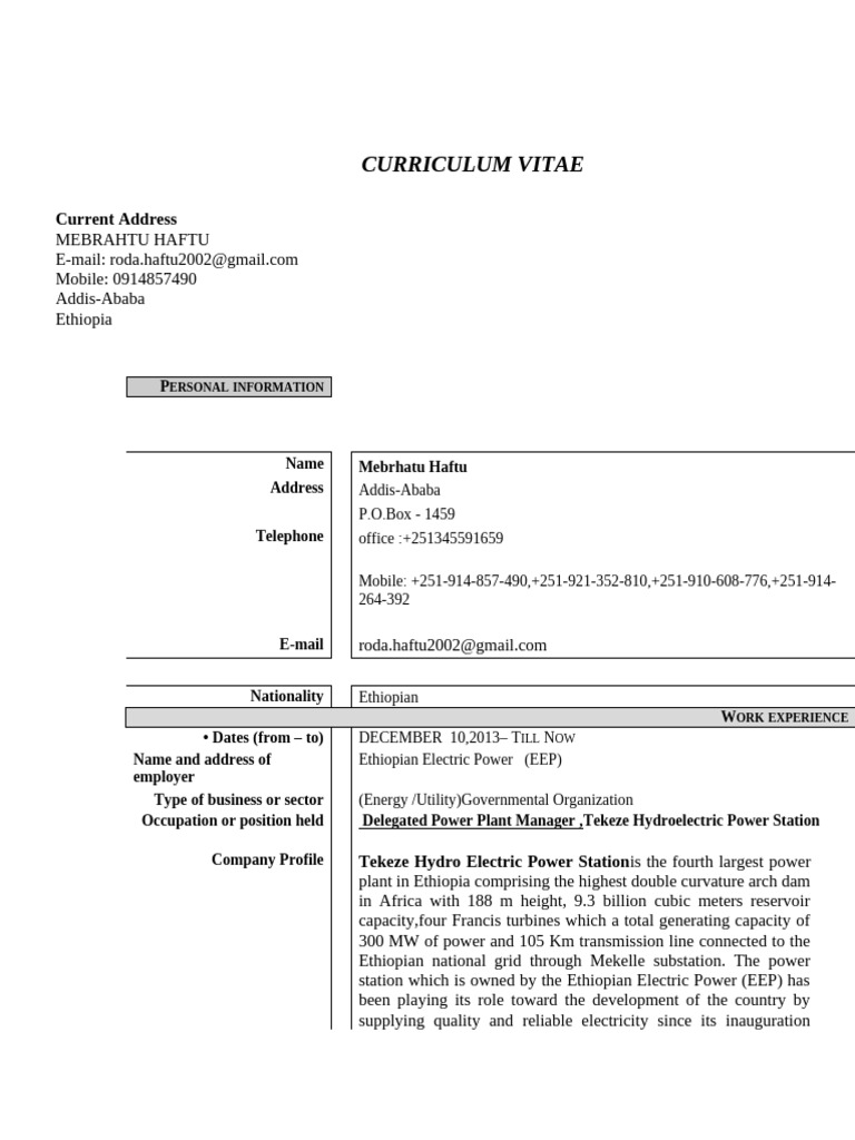 Mebrhatu Haftu - CV | PDF | Power Station | Ethiopia