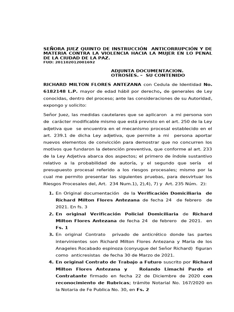 Adjunta Documentacion Richard | PDF | Ley procesal | Ley común