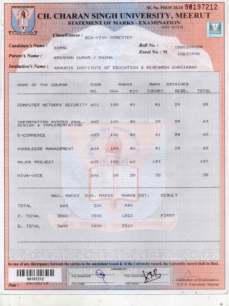 Ccs University Marksheet | PDF