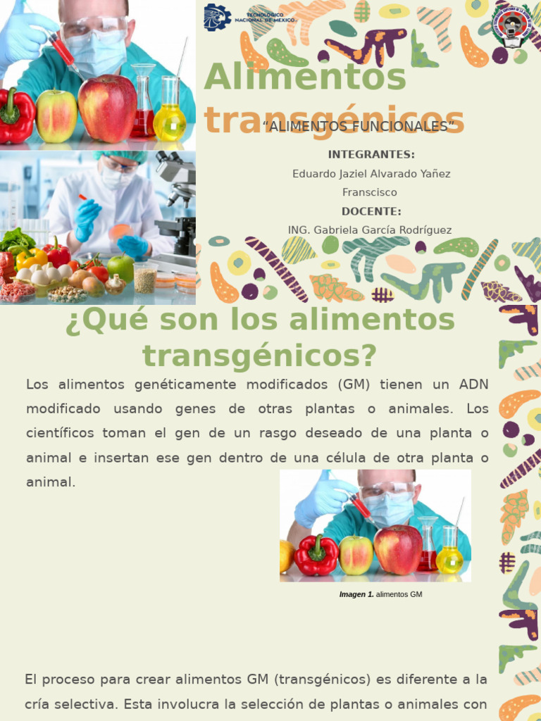 Ventajas y Riesgos de Alimentos Transgénicos | PDF | Organismo ...