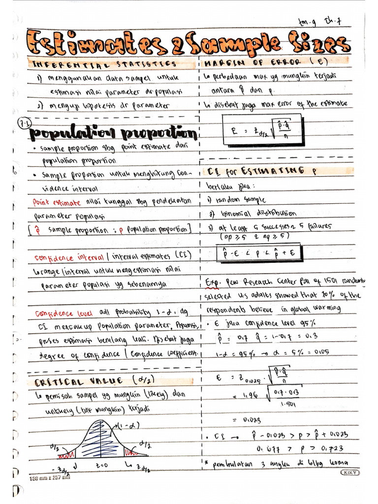 TM 09 Estimate & Sample Size | PDF