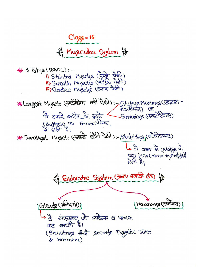 045) Biology by Bhawana Mam Endocrine System | PDF