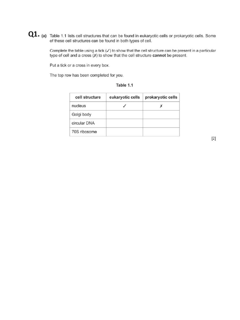 As Mock P2 60 Marks | PDF