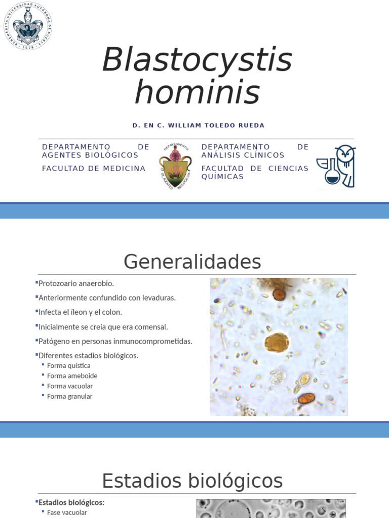 Blastocystis hominis: Generalidades y Tratamiento | PDF | Sistema ...