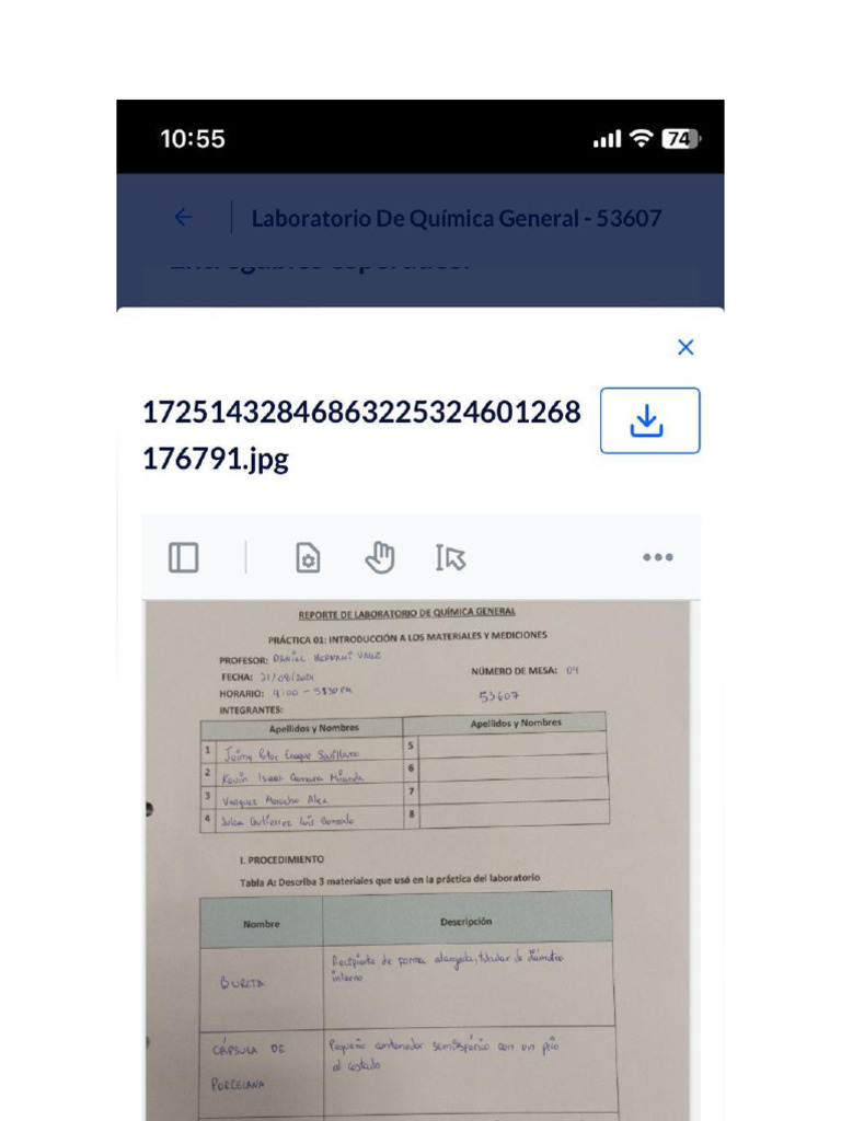 Evidencias Fotograficas de Trabajo Grupal | PDF