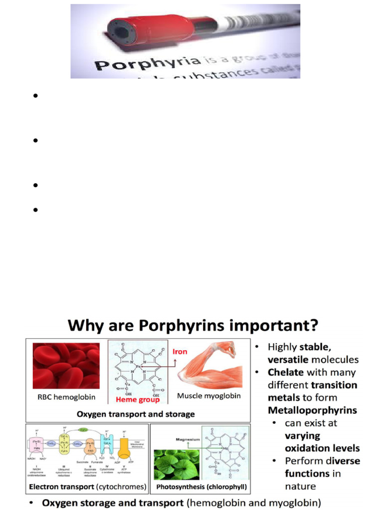 Understanding Porphyrias: Types and Treatment | PDF | Diseases And ...