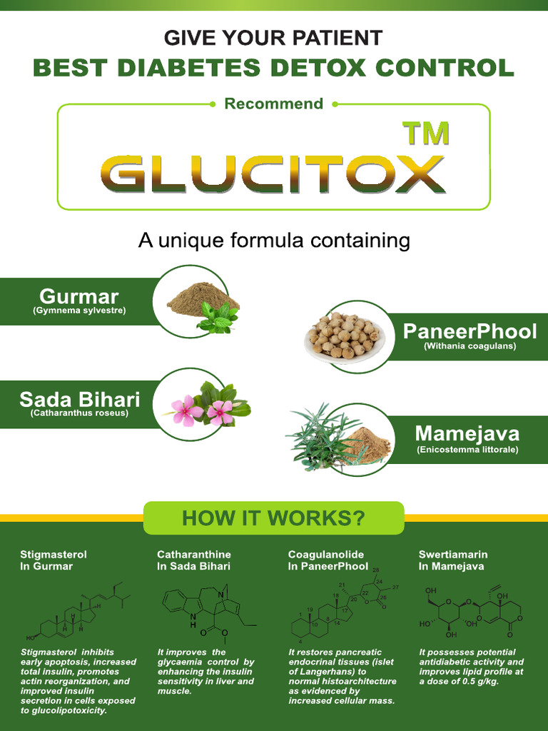 Brocher A4 Final | PDF