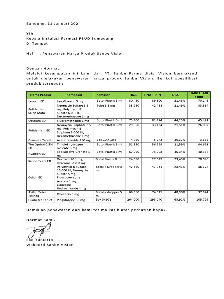 Sanbe Vision 2024 | PDF