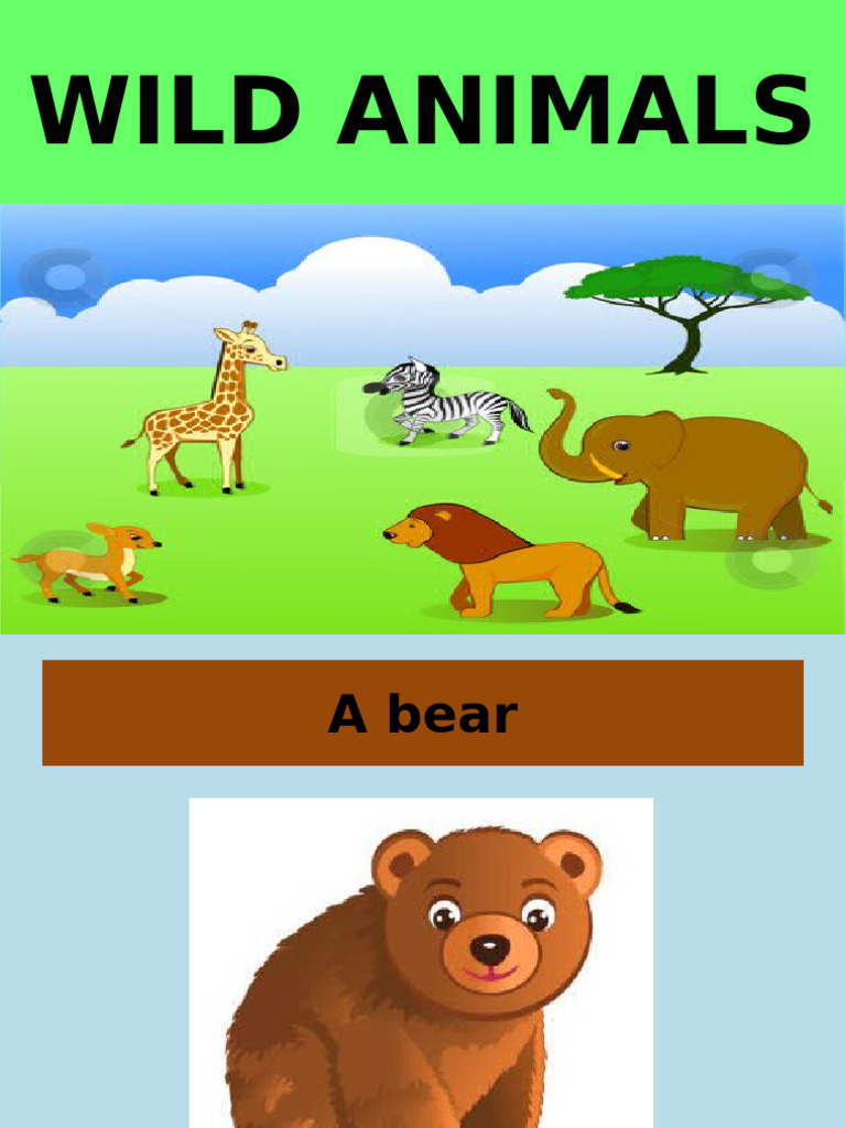 Wild Animals and Fun Riddles | PDF
