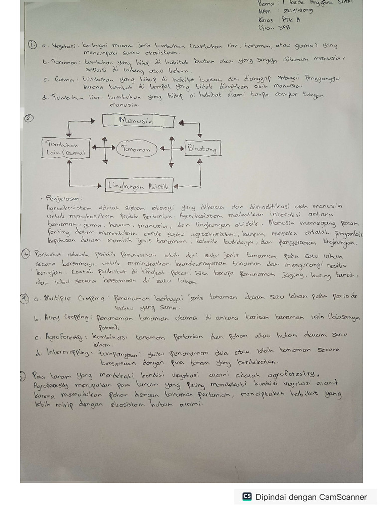 I Gede Anggara Sidhi - 2214141009 - PTK A - Ujian SPB Bidang Vegetasi | PDF