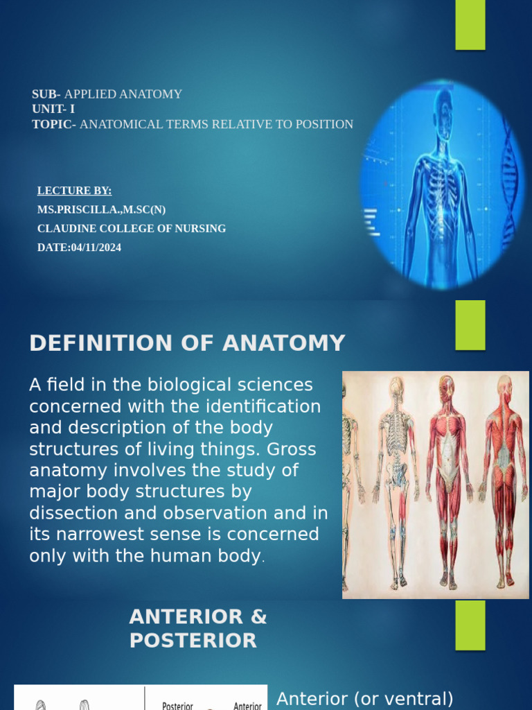 Understanding Anatomical Terms | PDF
