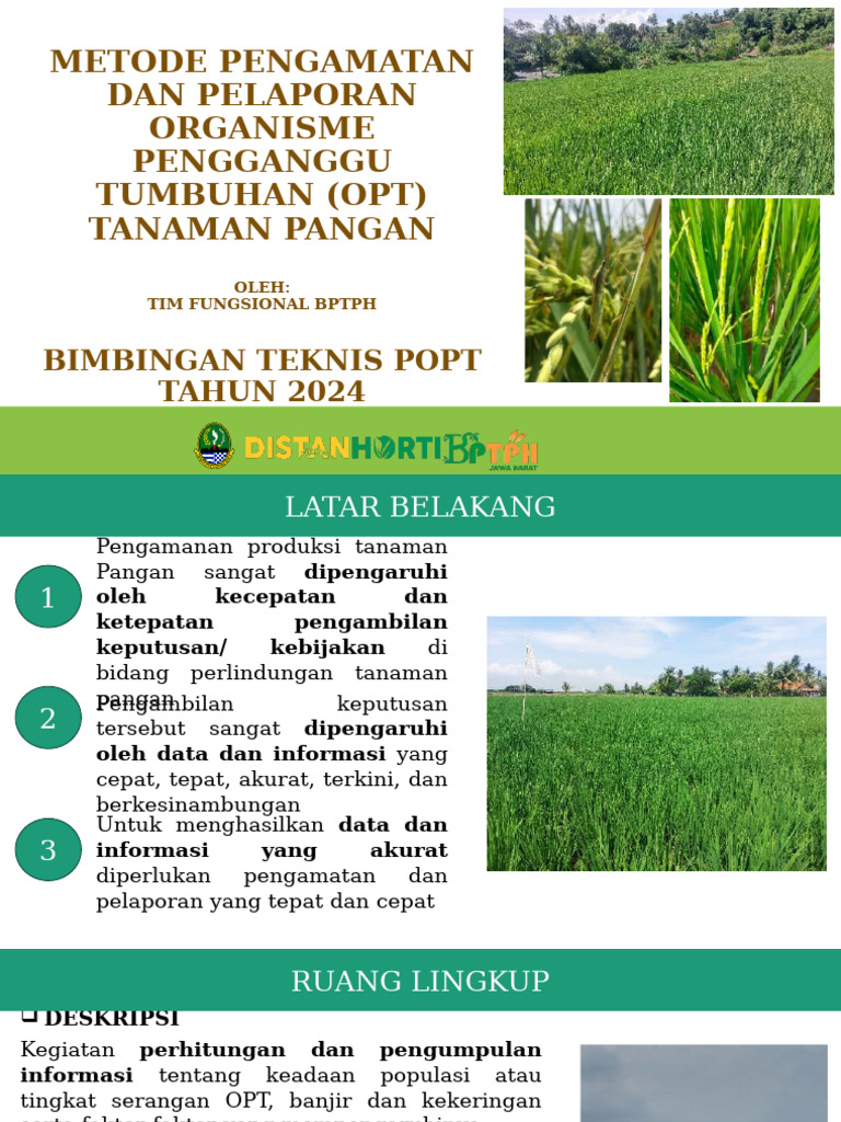 Bahan Tayang Metode Pengamatan & Pelaporan Opt Pangan | PDF