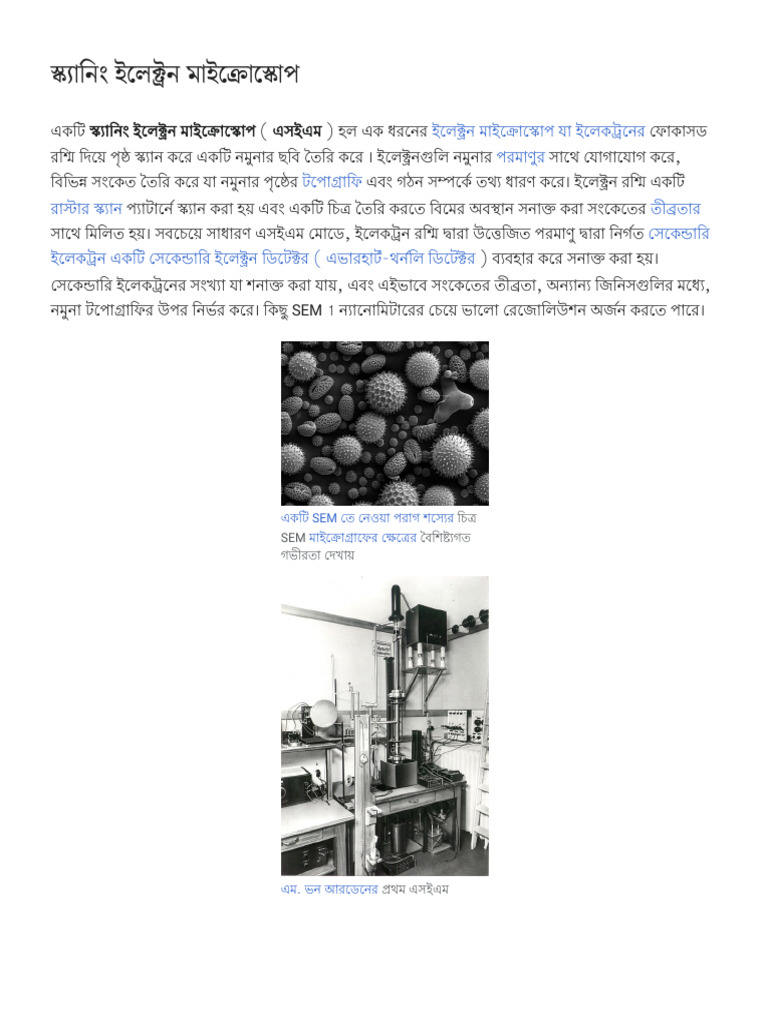 Scanning Electron Microscope | PDF