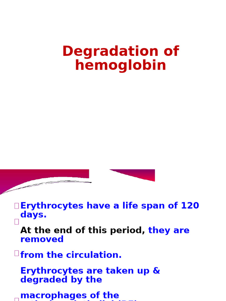 Hemoglobin Degradation | PDF | Hemoglobin | Biomolecules