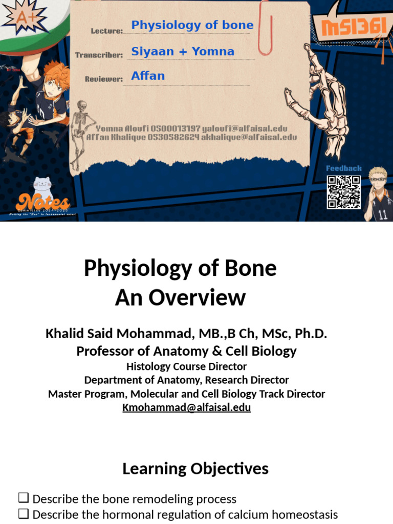 Bone Physiology | PDF | Bone | Calcium In Biology