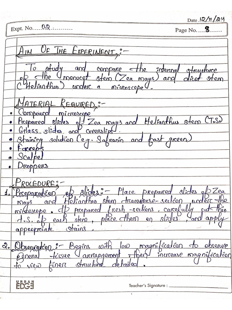 Ex. no. 2 to study and compare the internal structure of monocot stem ...