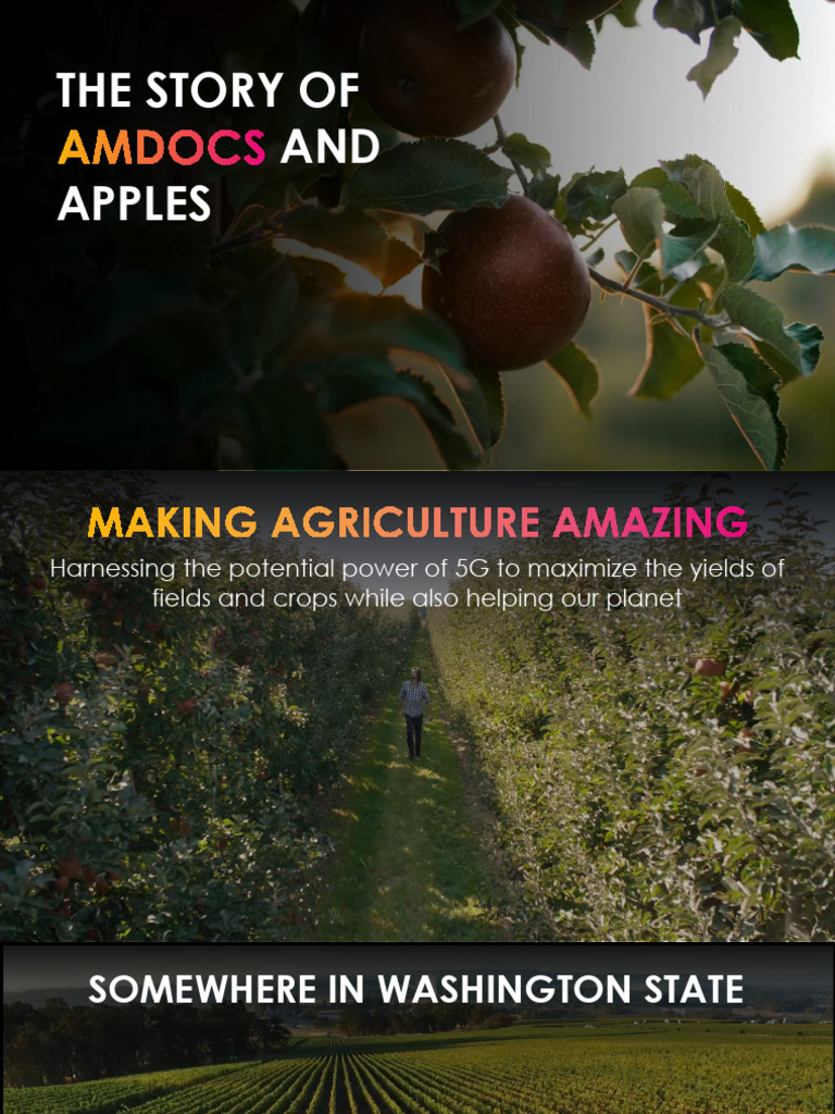 4. Amdocs Apples | PDF | Computing