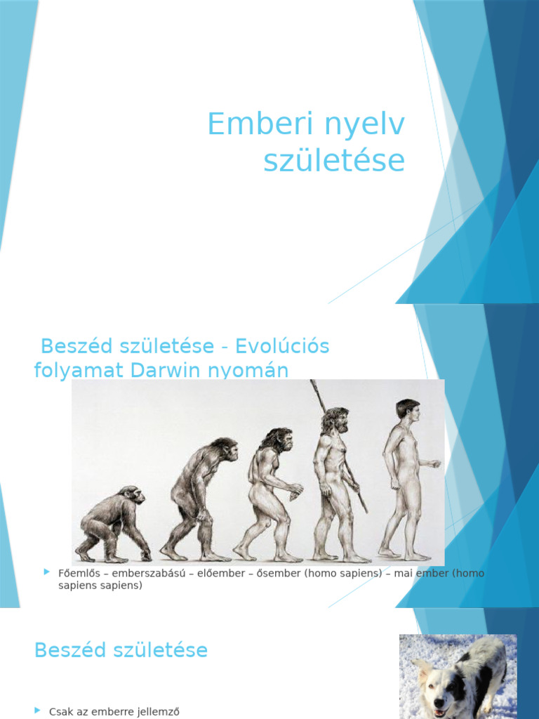 Emberi Nyelv Születése | PDF