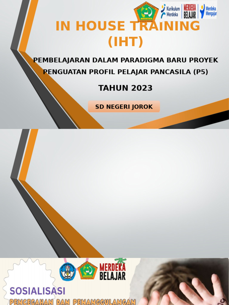 In House Training (Iht) | PDF