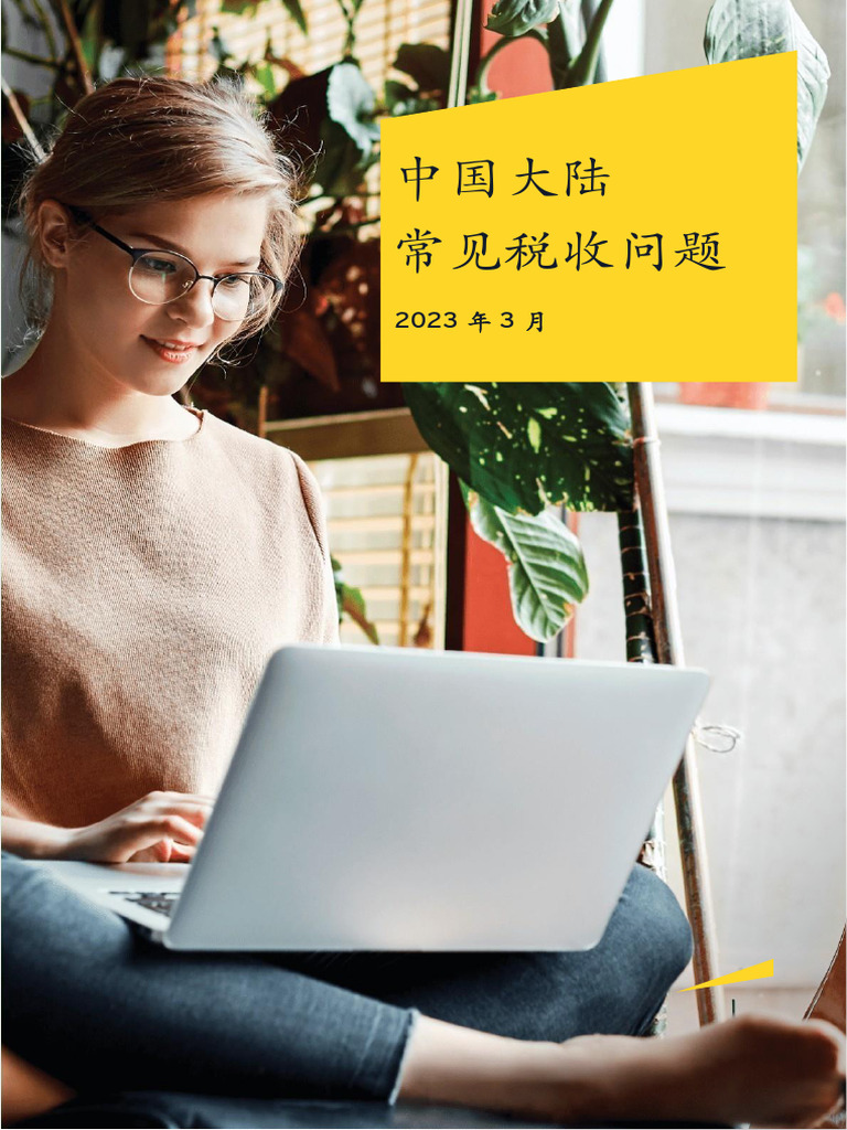 China Tax Guide Faq | PDF