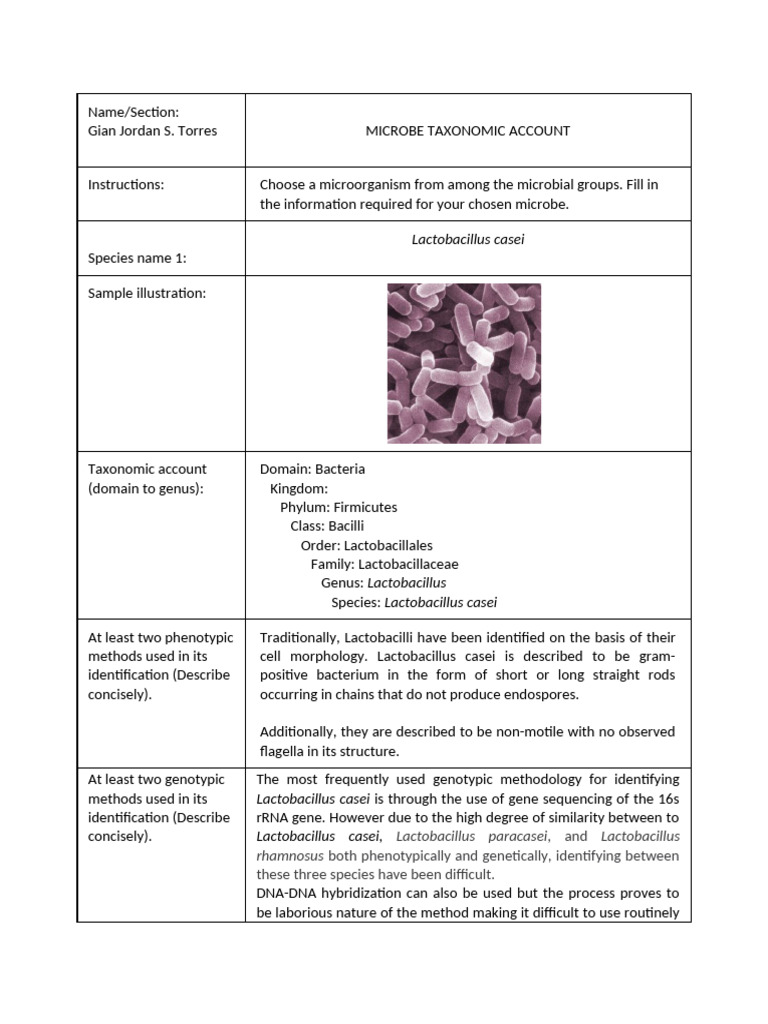 Lactobacillus casei Taxonomic Account | PDF | Lactobacillus | Bacteria