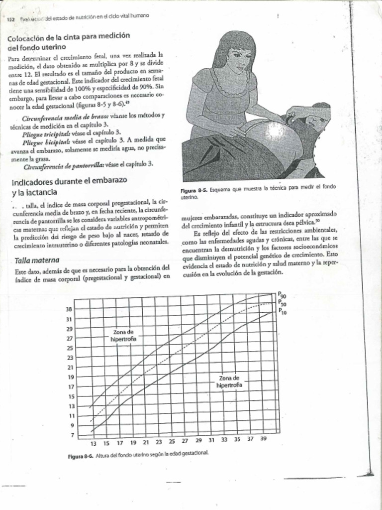 Eva Luac I Ó N Embarazada | PDF