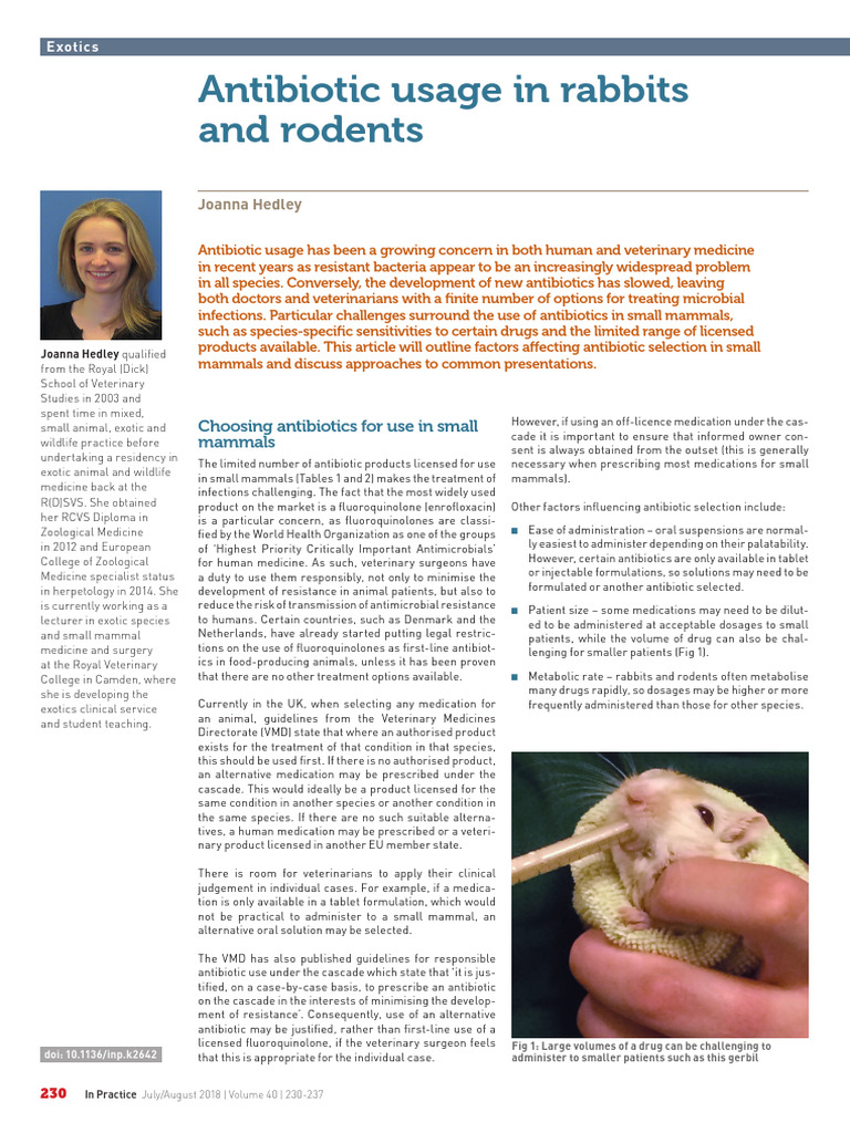 Antibiotic Usage in Rabbits and Rodents, Joanna Hedley, 2018 | PDF ...