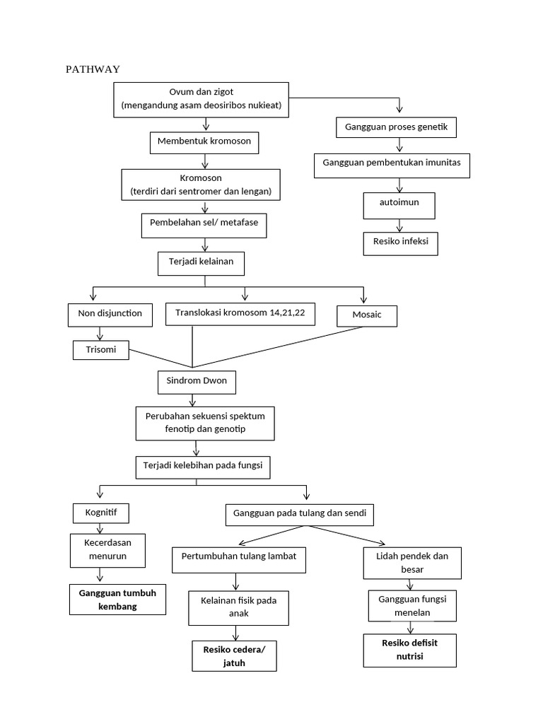 Pathway Down Syndrom | PDF