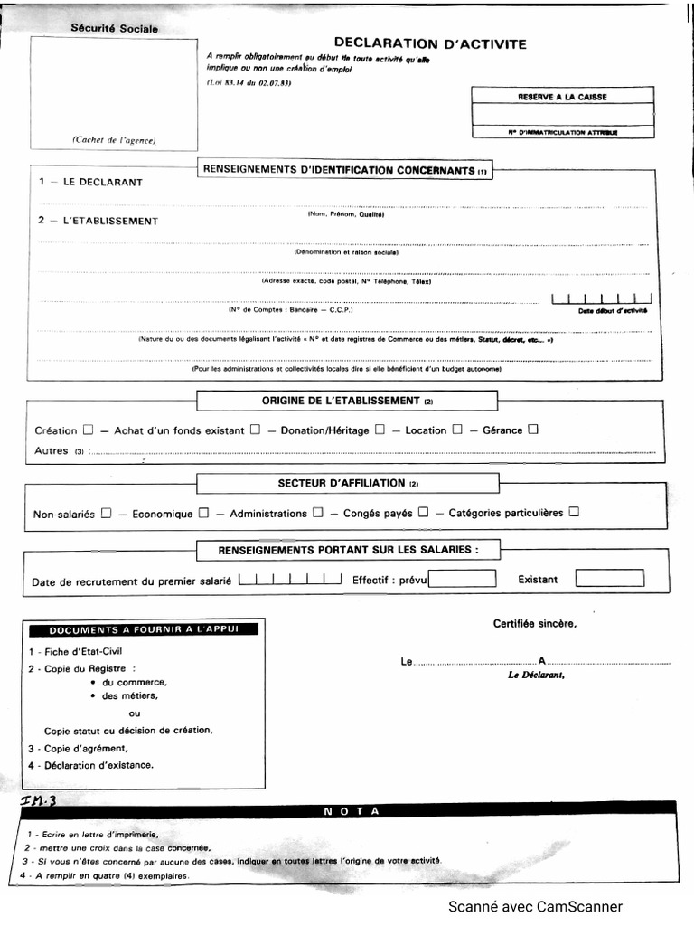 Declaration Activite Cnas Employeur | PDF