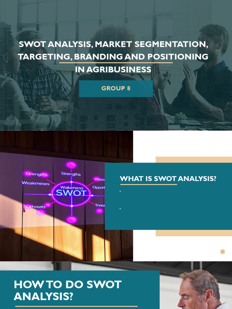Conducting Swot Analysis, Market Segmentation, Targeting, Branding and ...