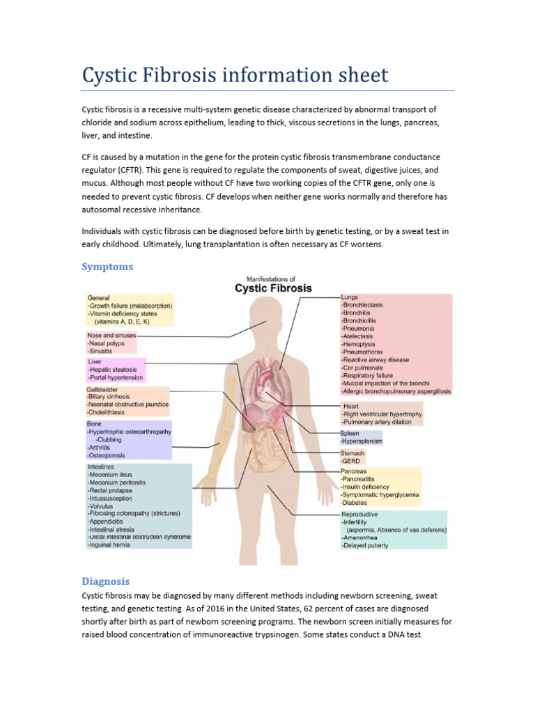 UMN - Cystic Fibrosis Information Sheet | PDF | Clinical Medicine | Diseases And Disorders