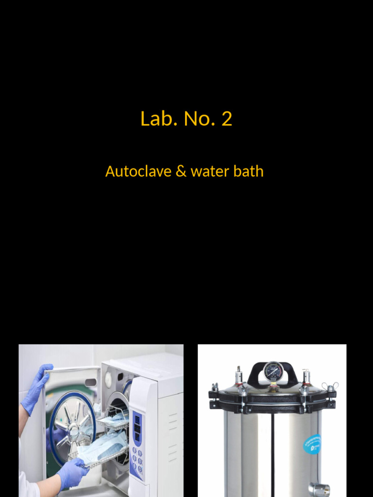 Lab No 2++ | PDF | Science & Mathematics
