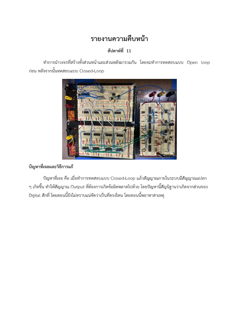 Project Report Week11 | PDF