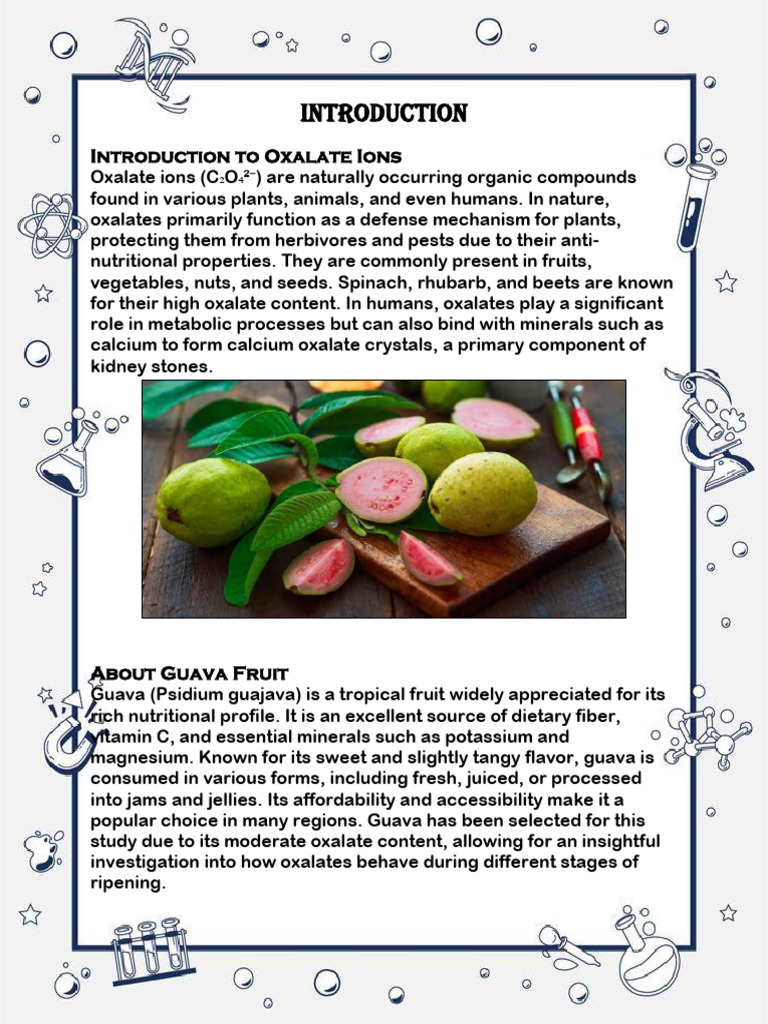 Chemistry Project by Bastav | PDF | Titration | Chemistry