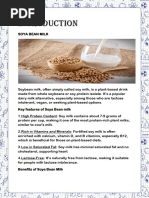 Lipofer Technical Report by Lipofoods | PDF | Iron | Dietary Supplements