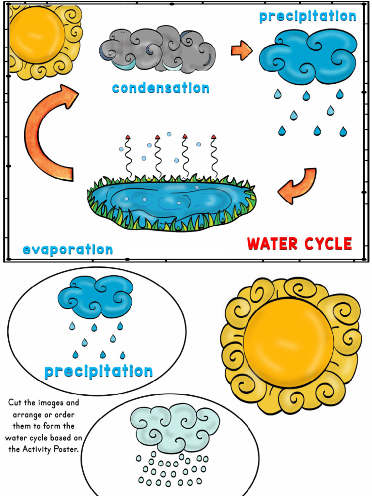 Water Cycle Activity 1 | PDF