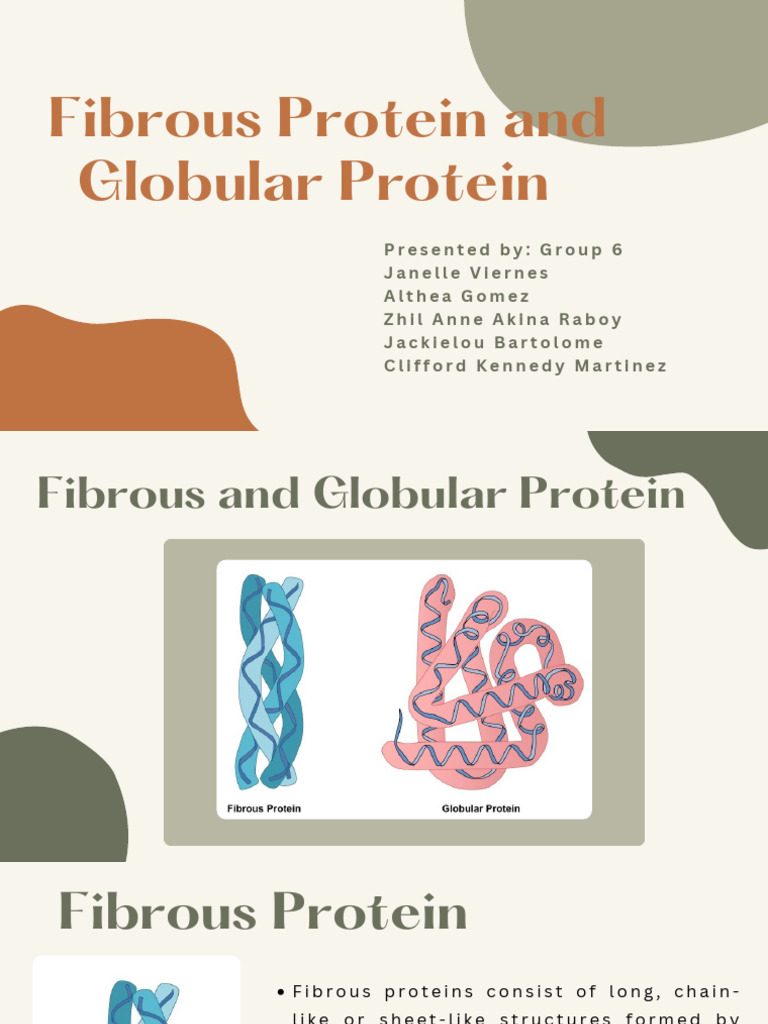 Fibrous Globular Protein. Collagen | PDF | Collagen | Proteins