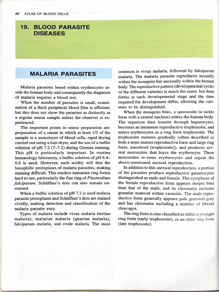 96 Atlas of Blood Cells | PDF