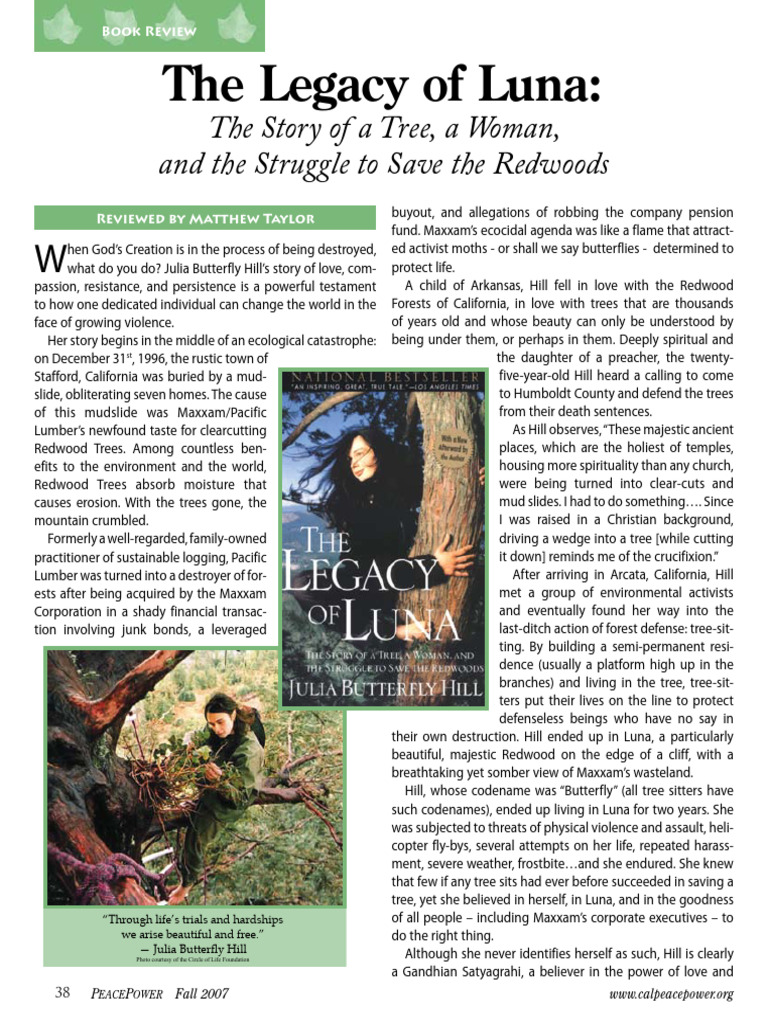 Julia Butterfly Hill's Luna Legacy | PDF | Trees